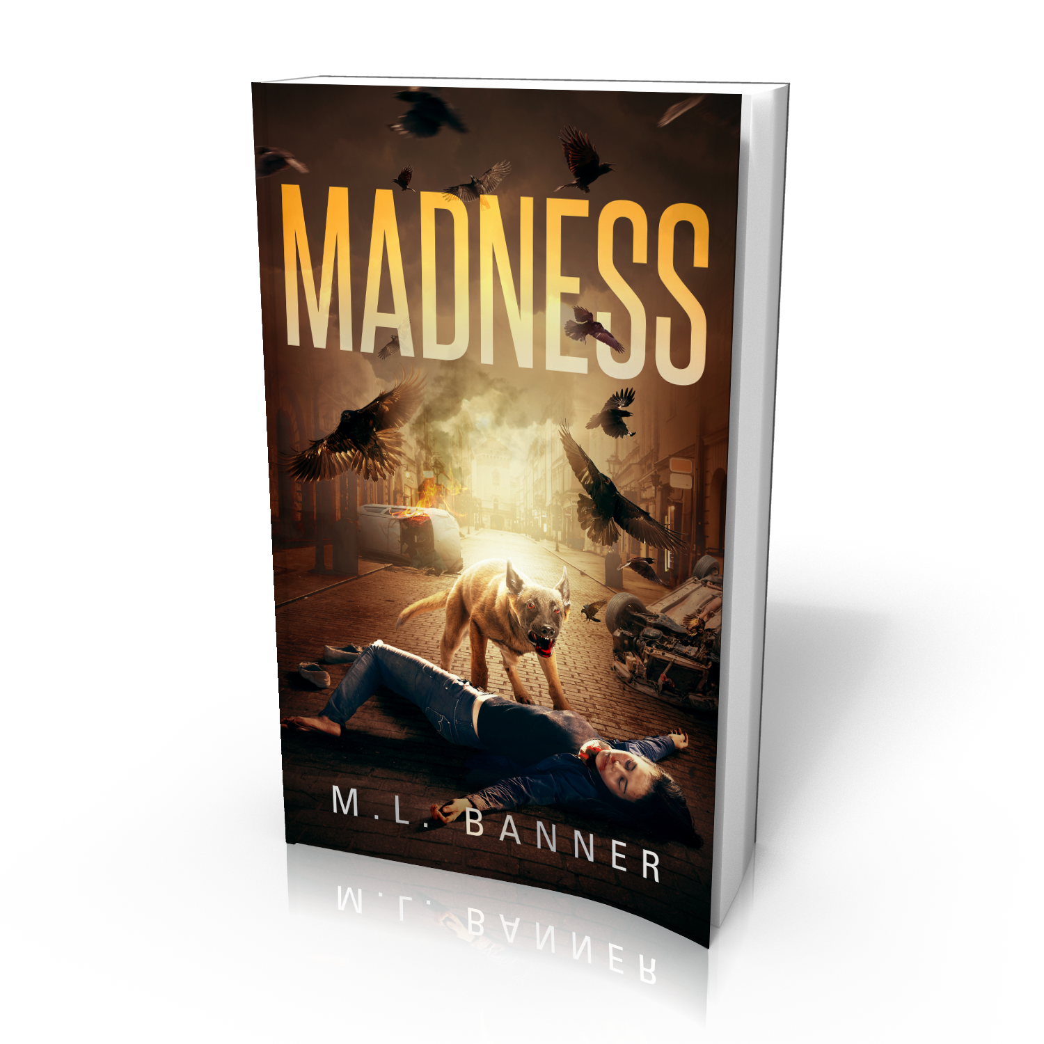 Madness – ML Banner – Author of Apocalyptic Thrillers